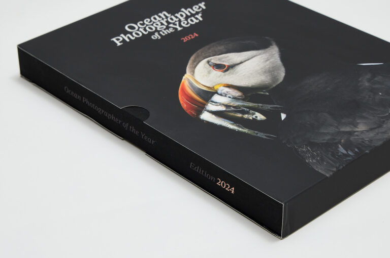 Ocean Photographer Of The Year - Pureprint