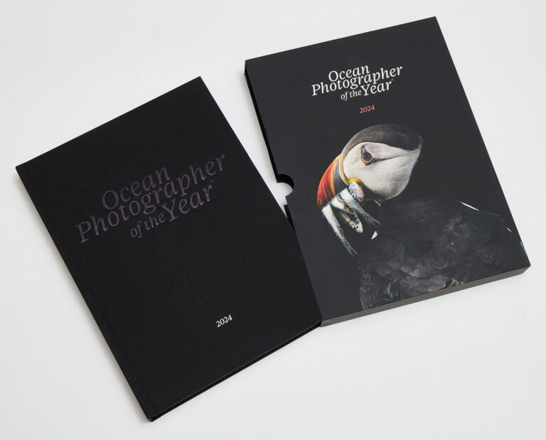 Ocean Photographer Of The Year - Pureprint