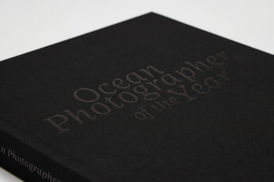 Ocean Photographer Of The Year - Pureprint